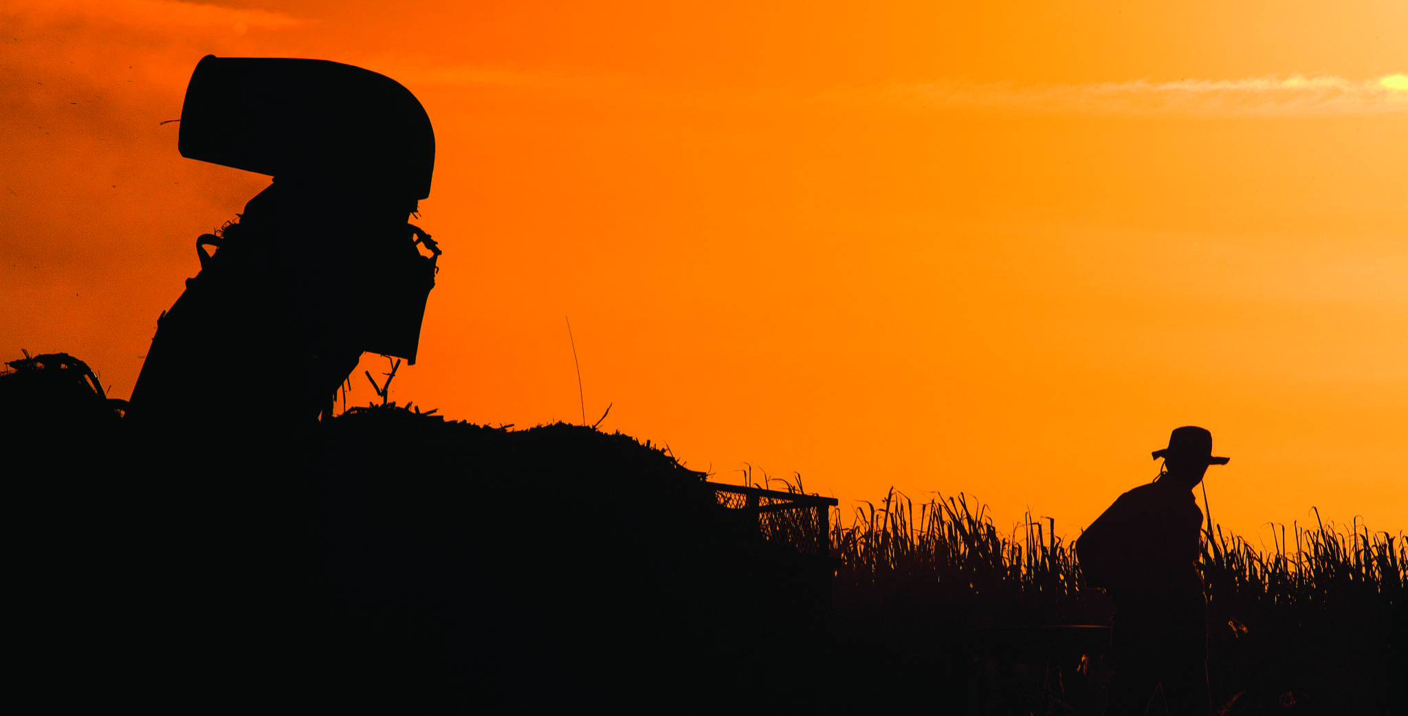 Flex Crops: A Primer | Transnational Institute