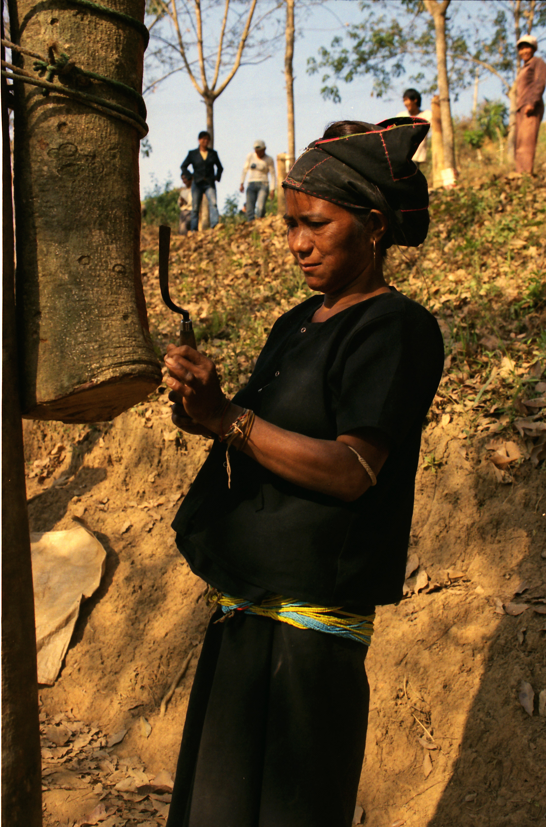 Financing Dispossession | Transnational Institute