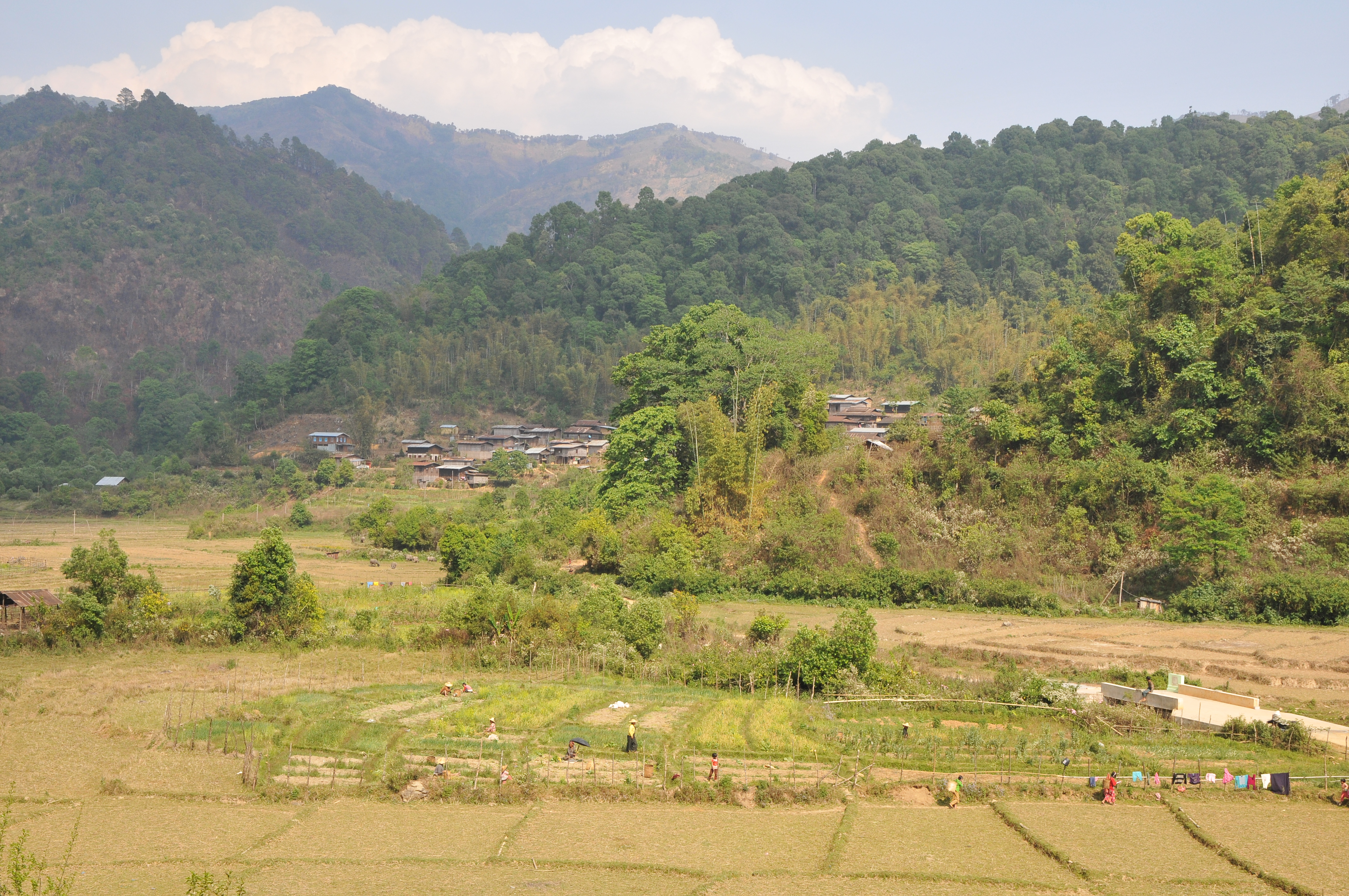 From The Authoritative Land Management System To The Federal Land ...