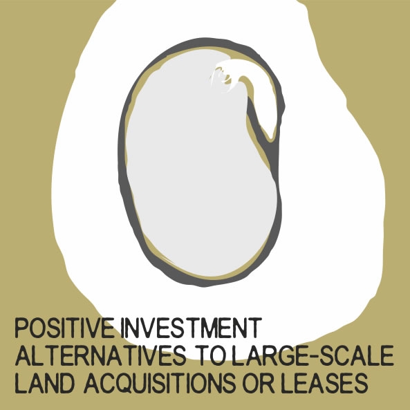 Positive Land Investment Alternatives | Transnational Institute