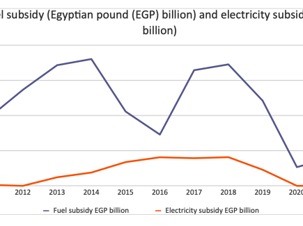 International finance and the commodification of electricity in Egypt ...