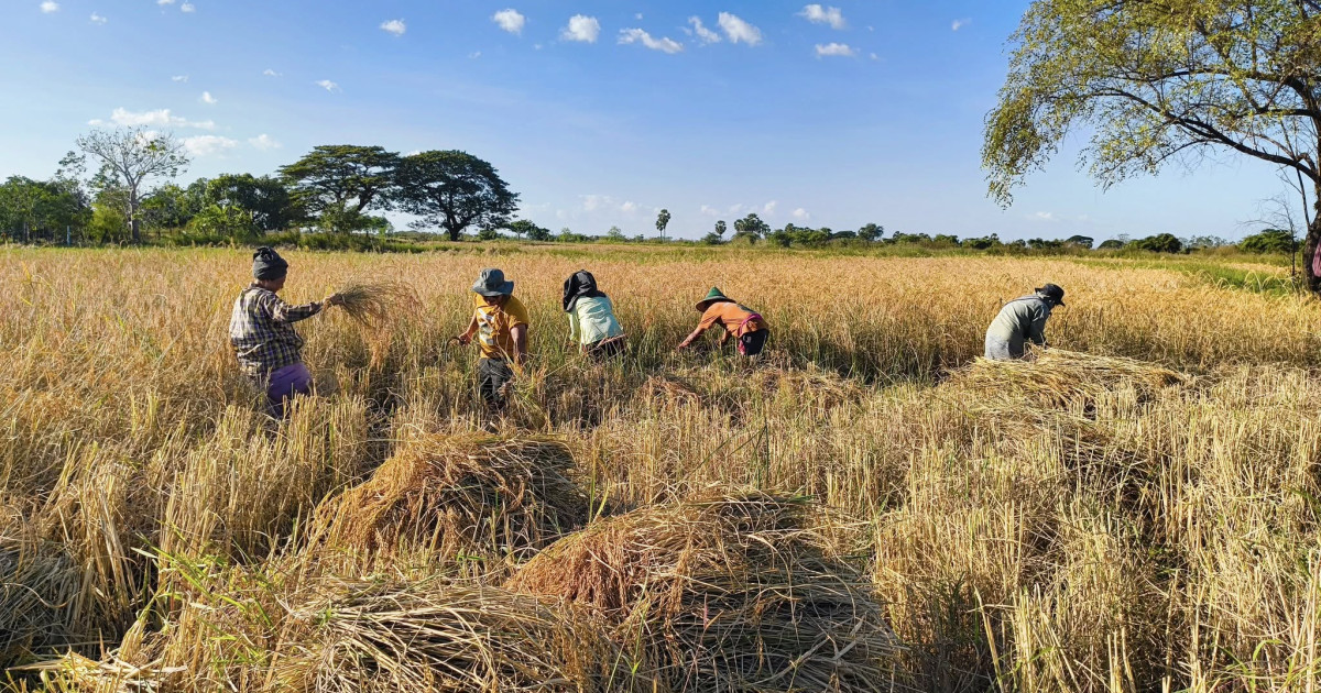 မွန်တောင်သူများ၏ အသံ | Transnational Institute