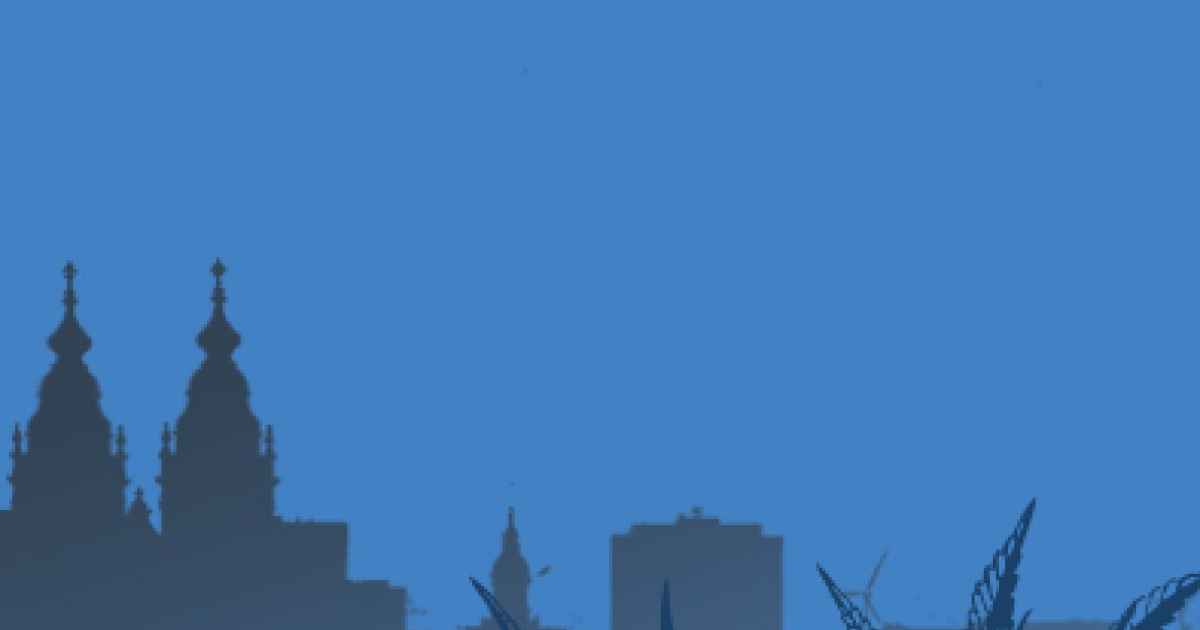 Cannabis En La Ciudad Avances En La Regulación Local Del Cannabis En