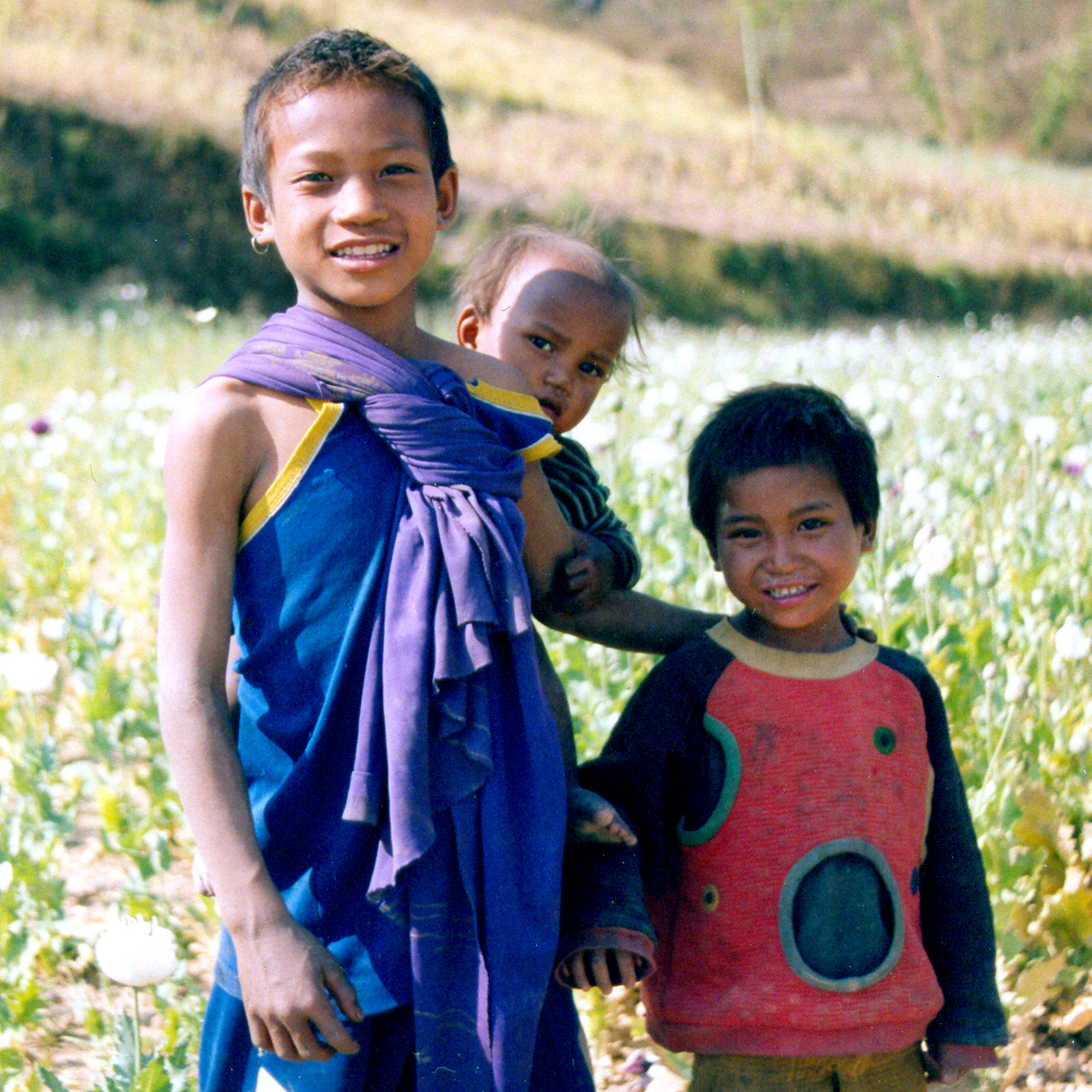 Statement of the 4th Myanmar Opium Farmers’ Forum | Transnational Institute